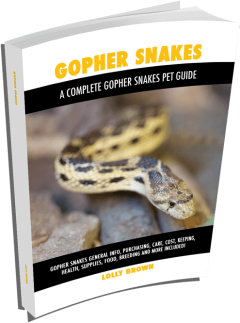 Lolly Brown | Lolly Brown Snakes Books