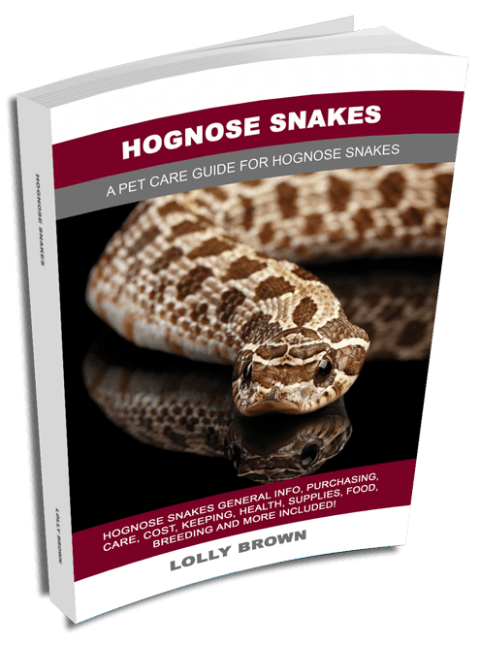 Lolly Brown | Lolly Brown Snakes Books