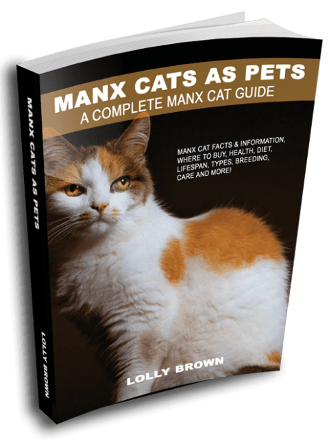 Lolly Brown | Table of Contents