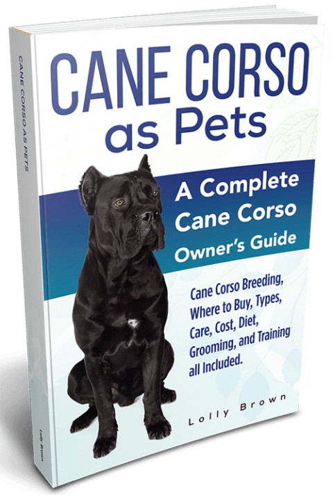 Lolly Brown | About Cane Corso
