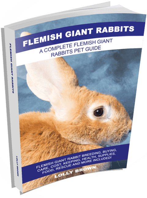 Lolly Brown | Table of Contents