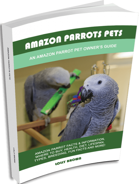 Lolly Brown | About Amazon Parrots