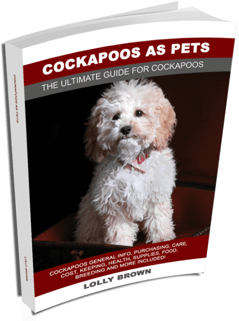 Lolly Brown | Table of Contents