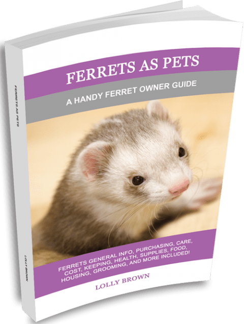 Lolly Brown | Chapters