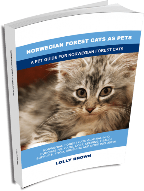 Lolly Brown | Chapters