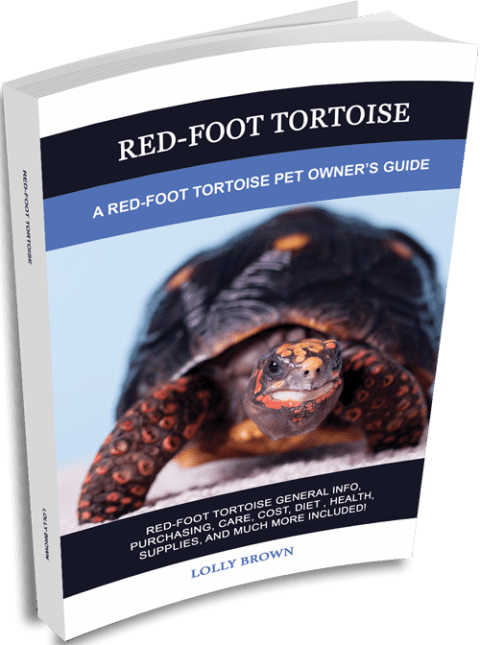 Lolly Brown | Table of Contents