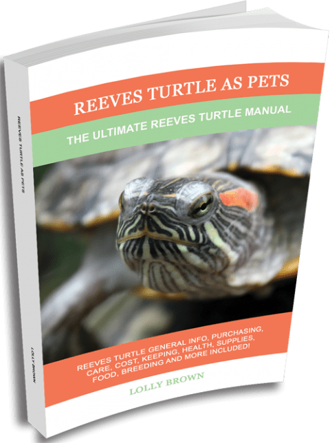 Lolly Brown | Table of Contents