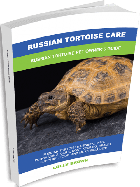 Lolly Brown | Chapters